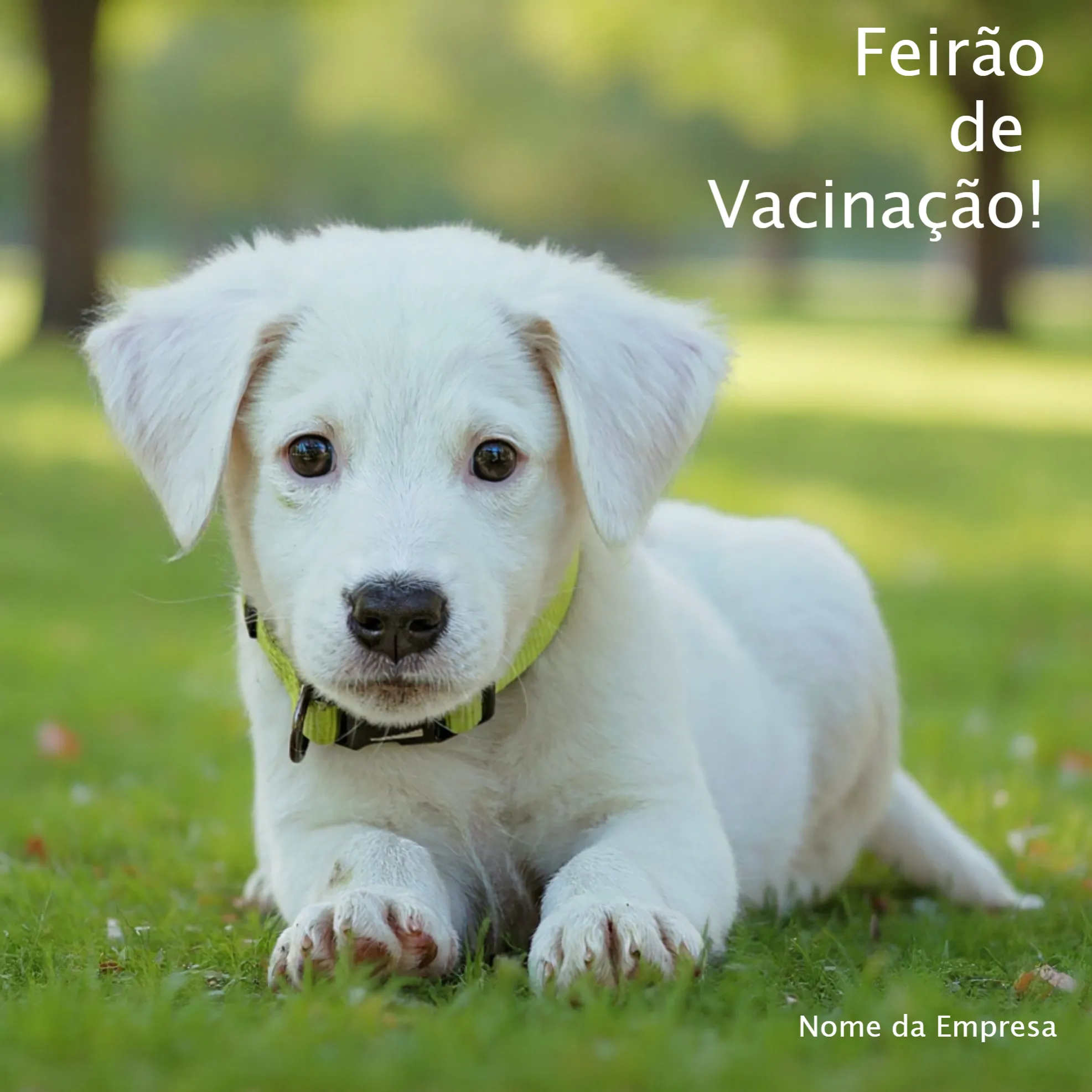 Prize Card Grátis | Templates Editáveis, Modelos e Recursos Criativos ...